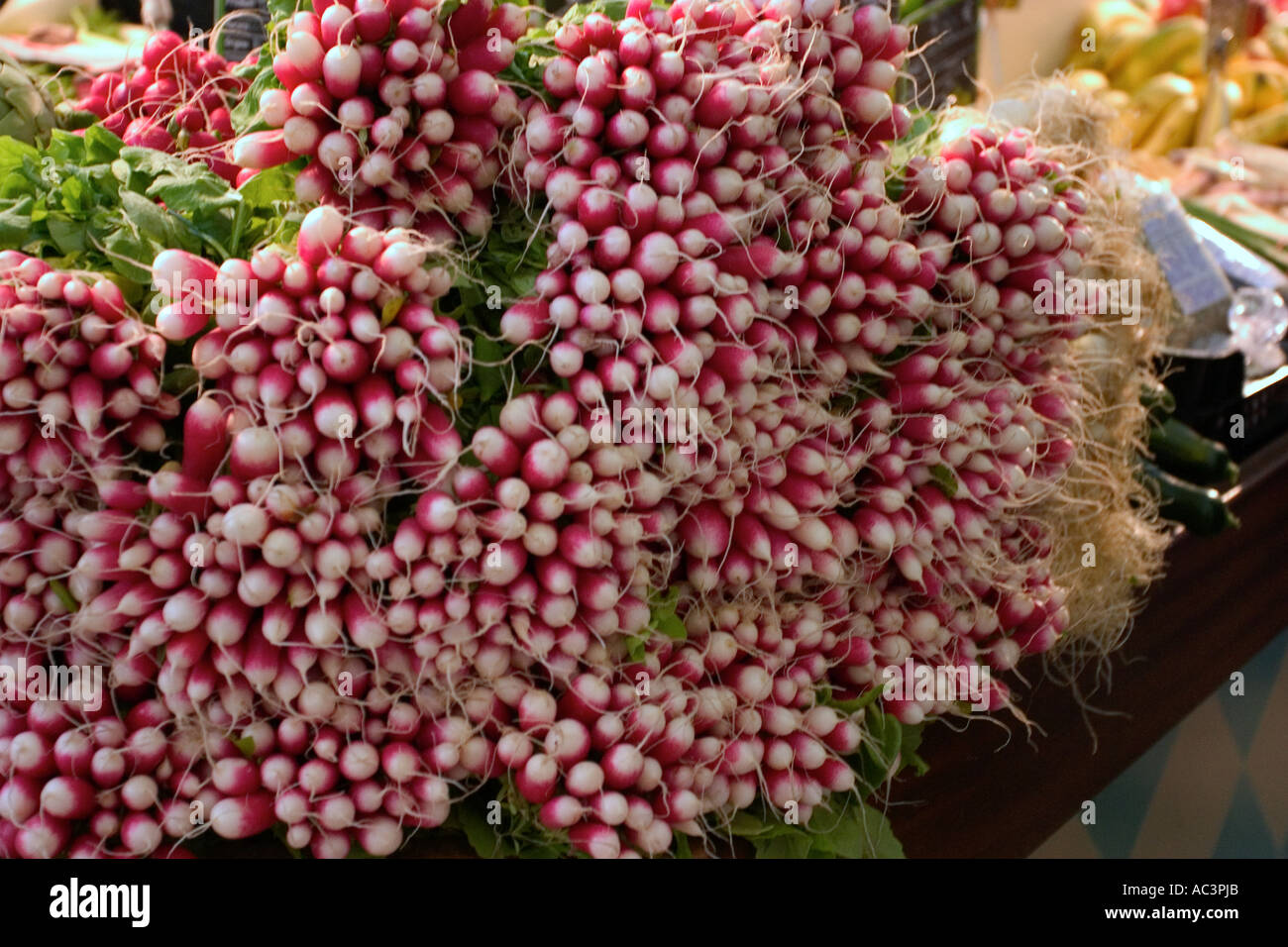 Radis radishes agricultural hi-res stock photography and images - Alamy
