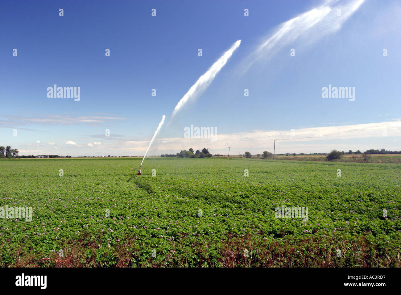 Fenland farming hi-res stock photography and images - Alamy
