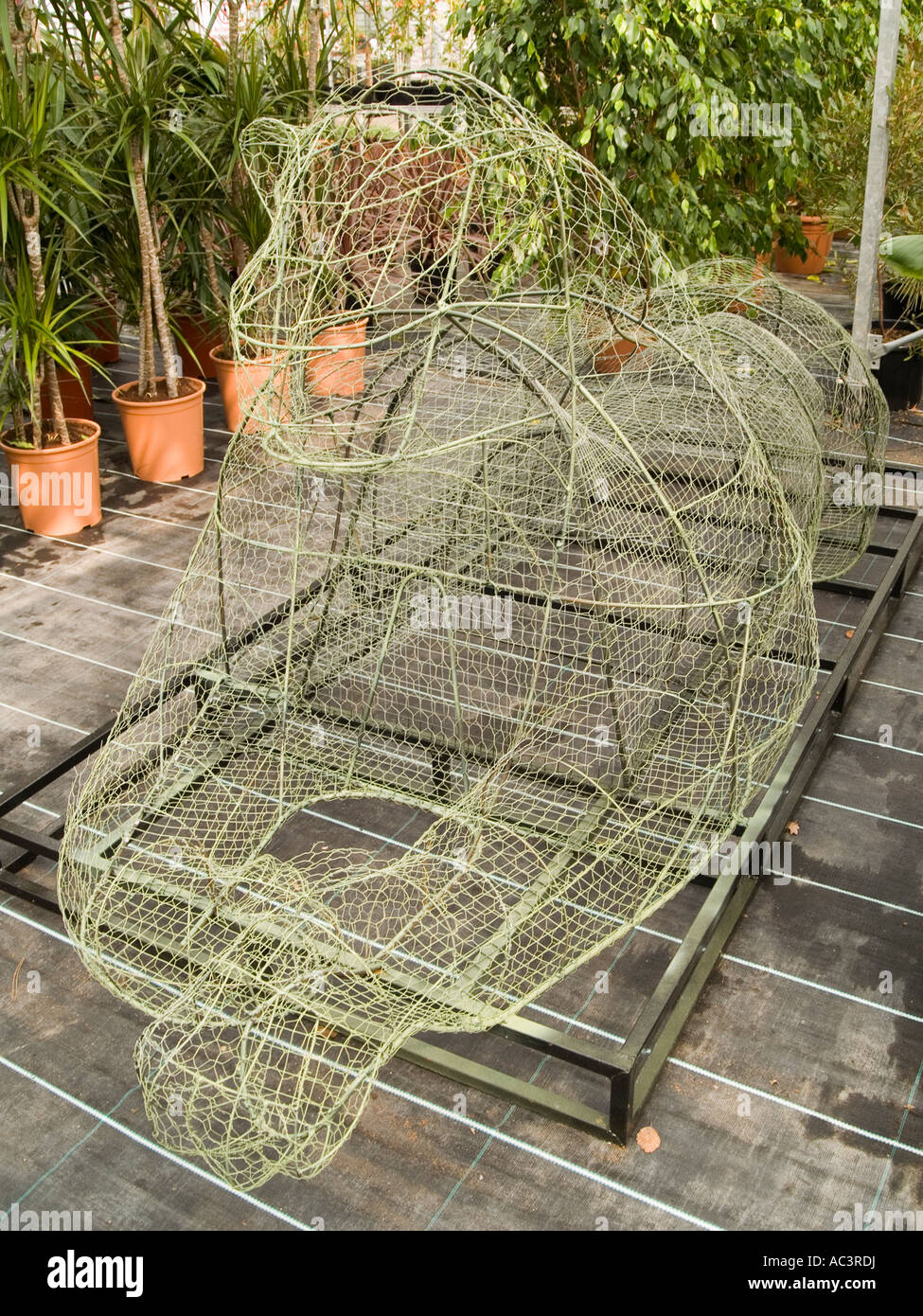 The wire shell of a lion in the Council nursery at Woodthorpe Grange ...