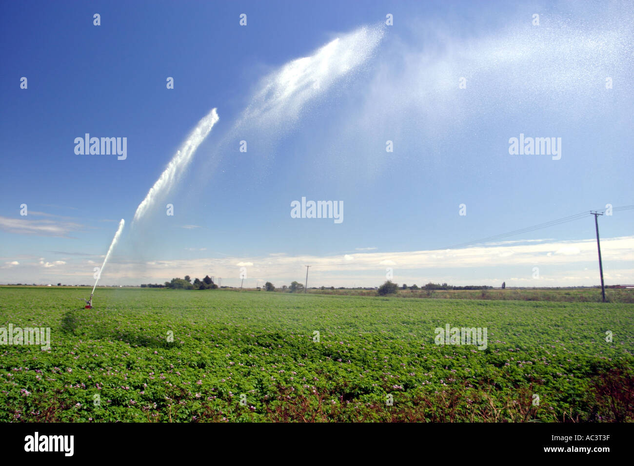 Fenland farming hi-res stock photography and images - Alamy