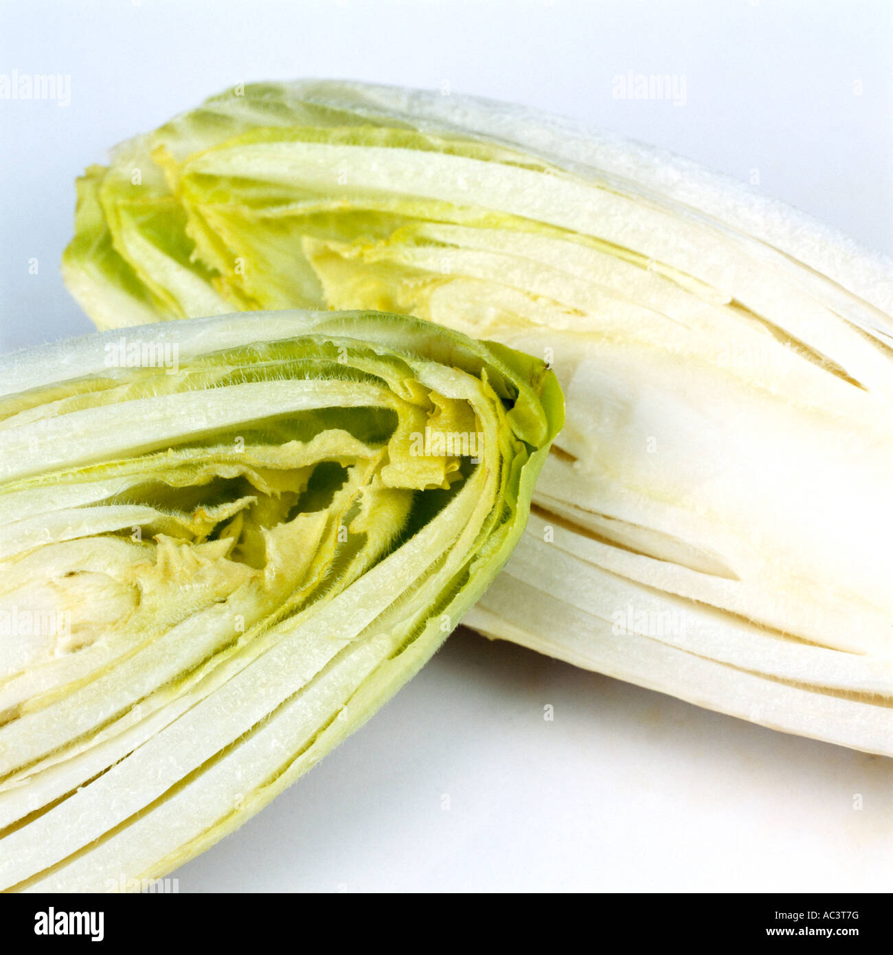 Chicorees hi-res stock photography and images - Alamy