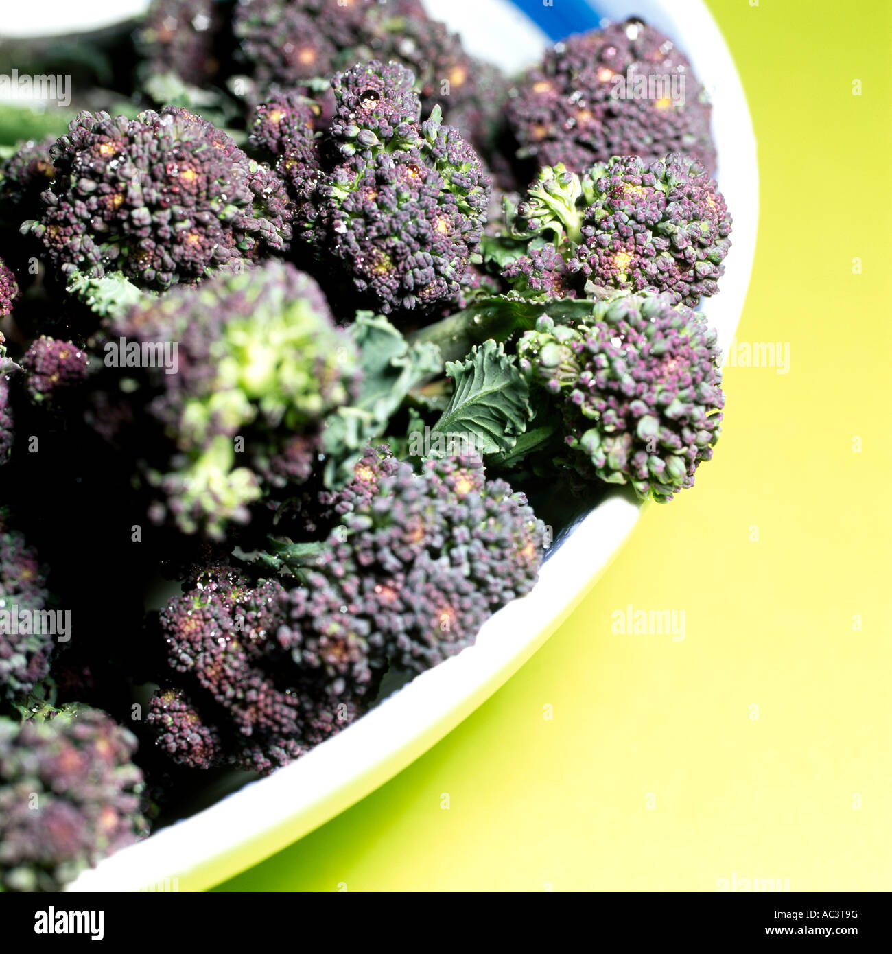 Purple Sprouting Broccoli Stock Photo - Alamy