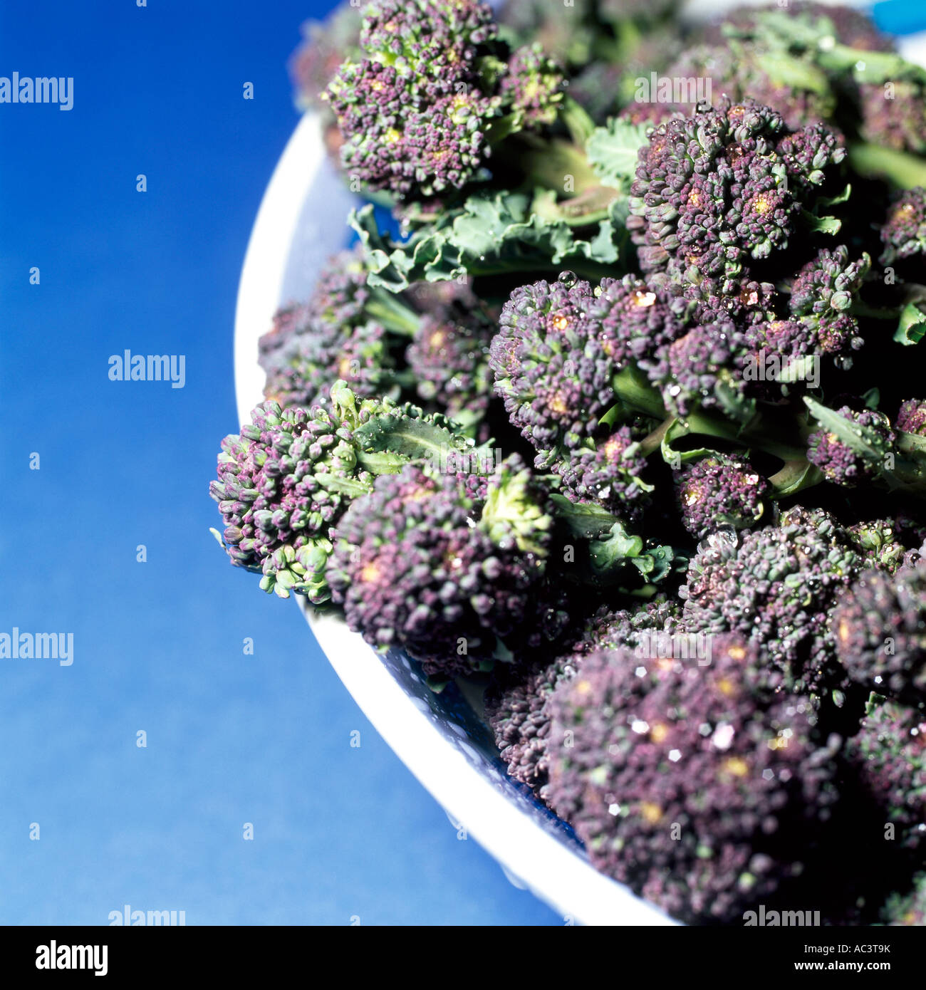 Purple Sprouting Broccoli Stock Photo - Alamy