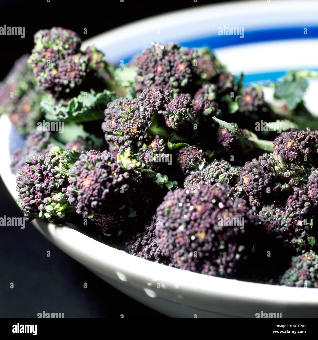 Purple Sprouting Broccoli Stock Photo - Alamy