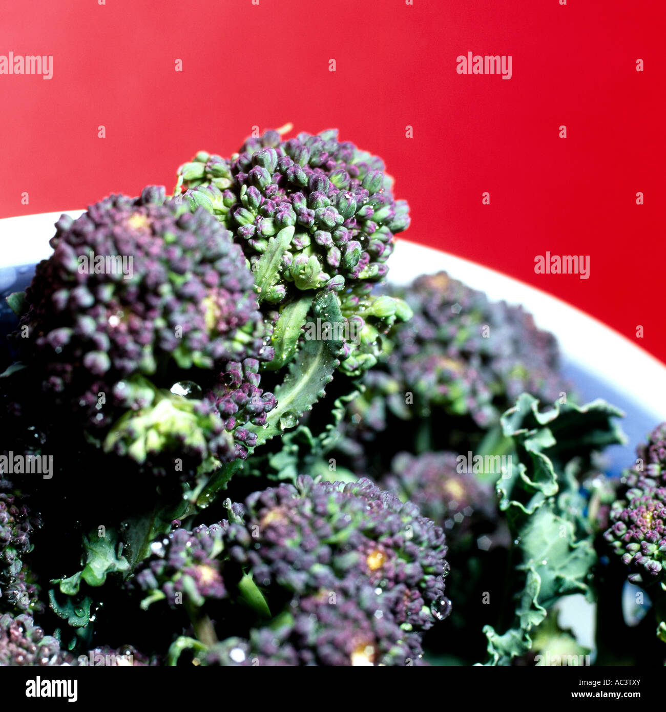Purple Sprouting Broccoli Stock Photo - Alamy