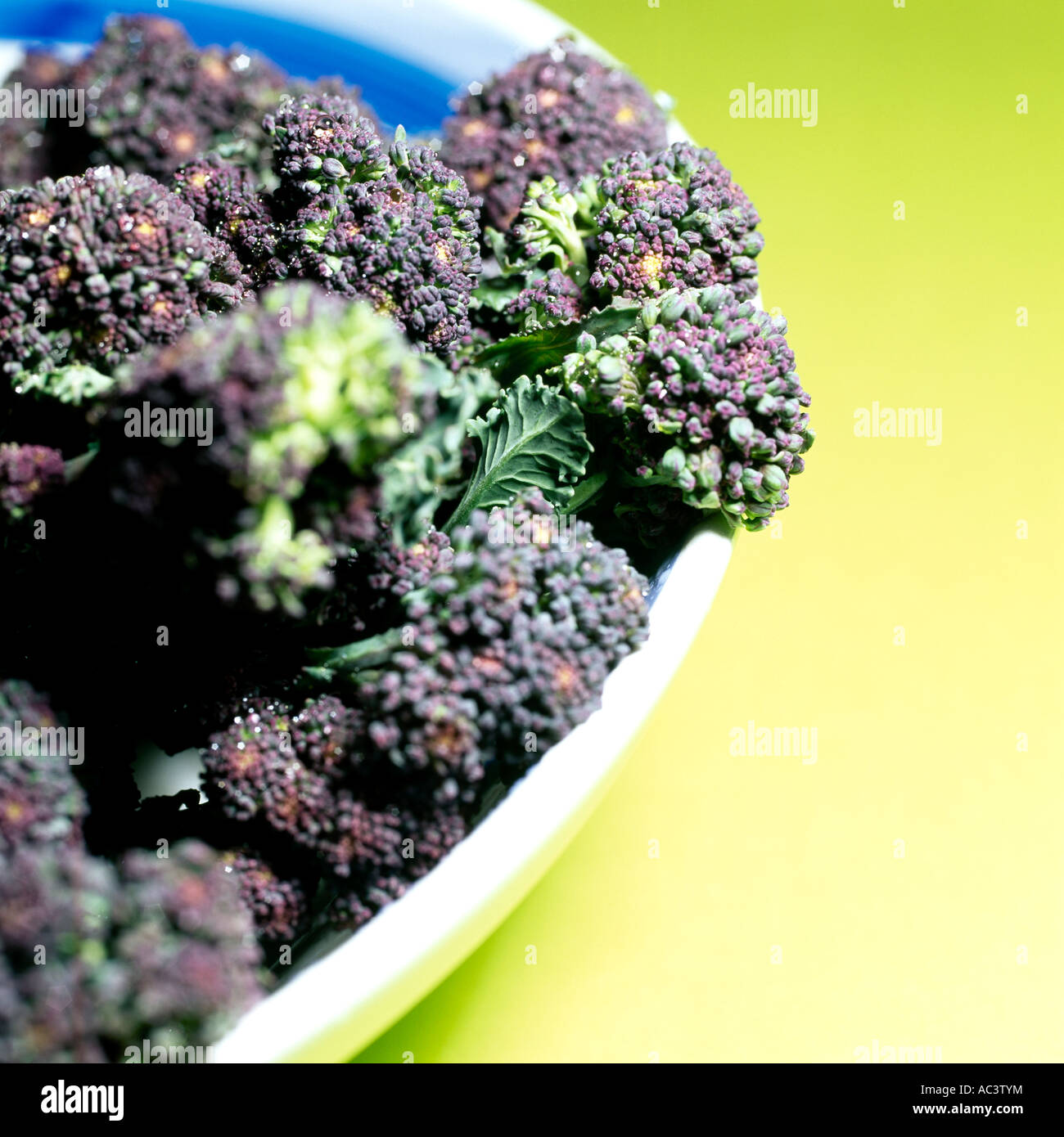 Purple Sprouting Broccoli Stock Photo - Alamy