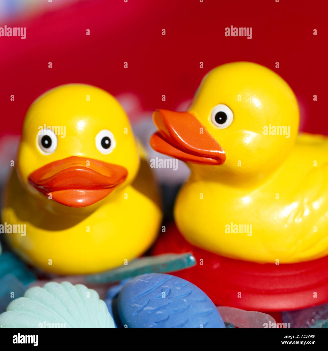 Novelty rubber ducks hi-res stock photography and images - Alamy
