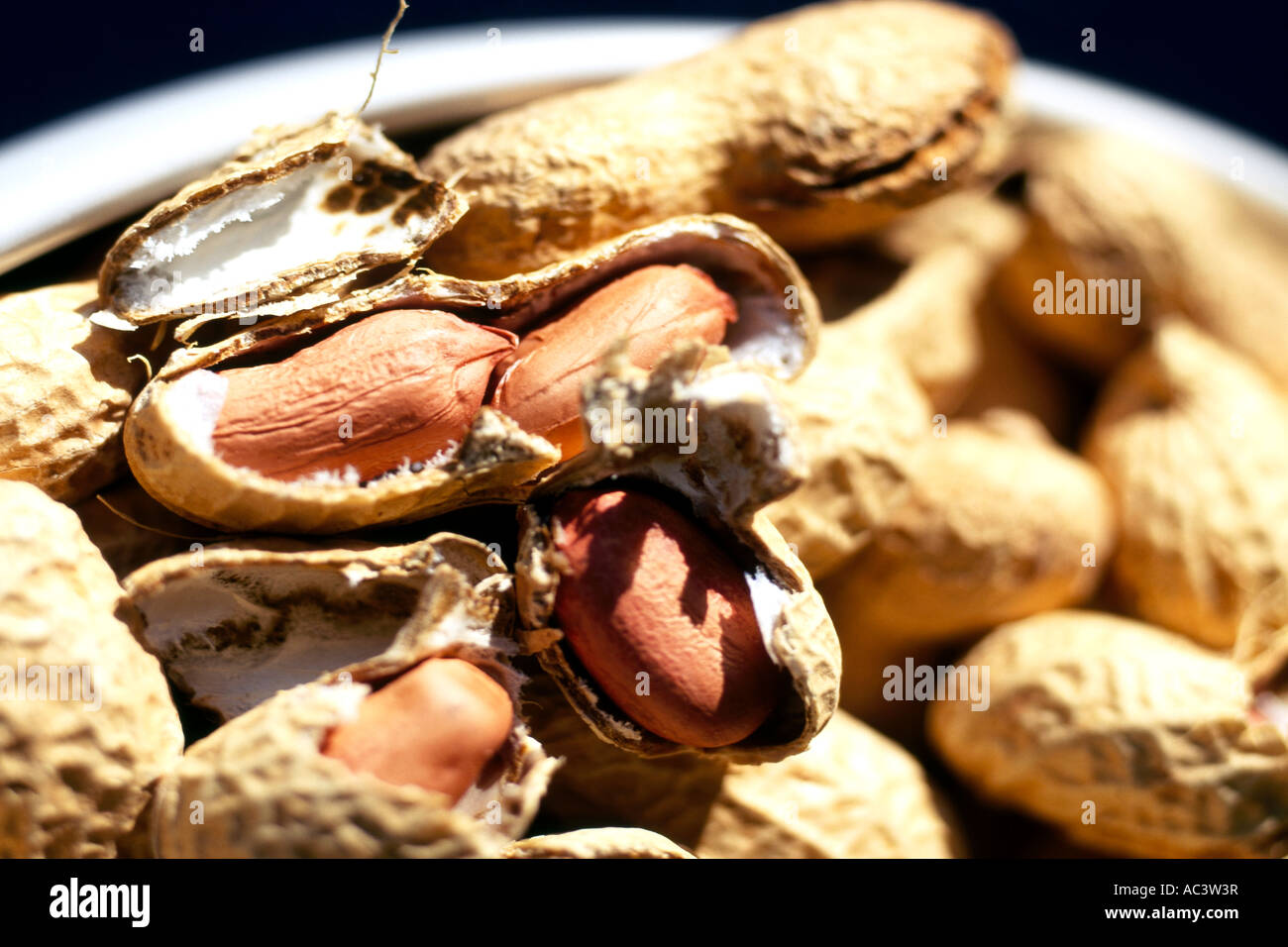 Cracked nut monkey hi-res stock photography and images - Alamy