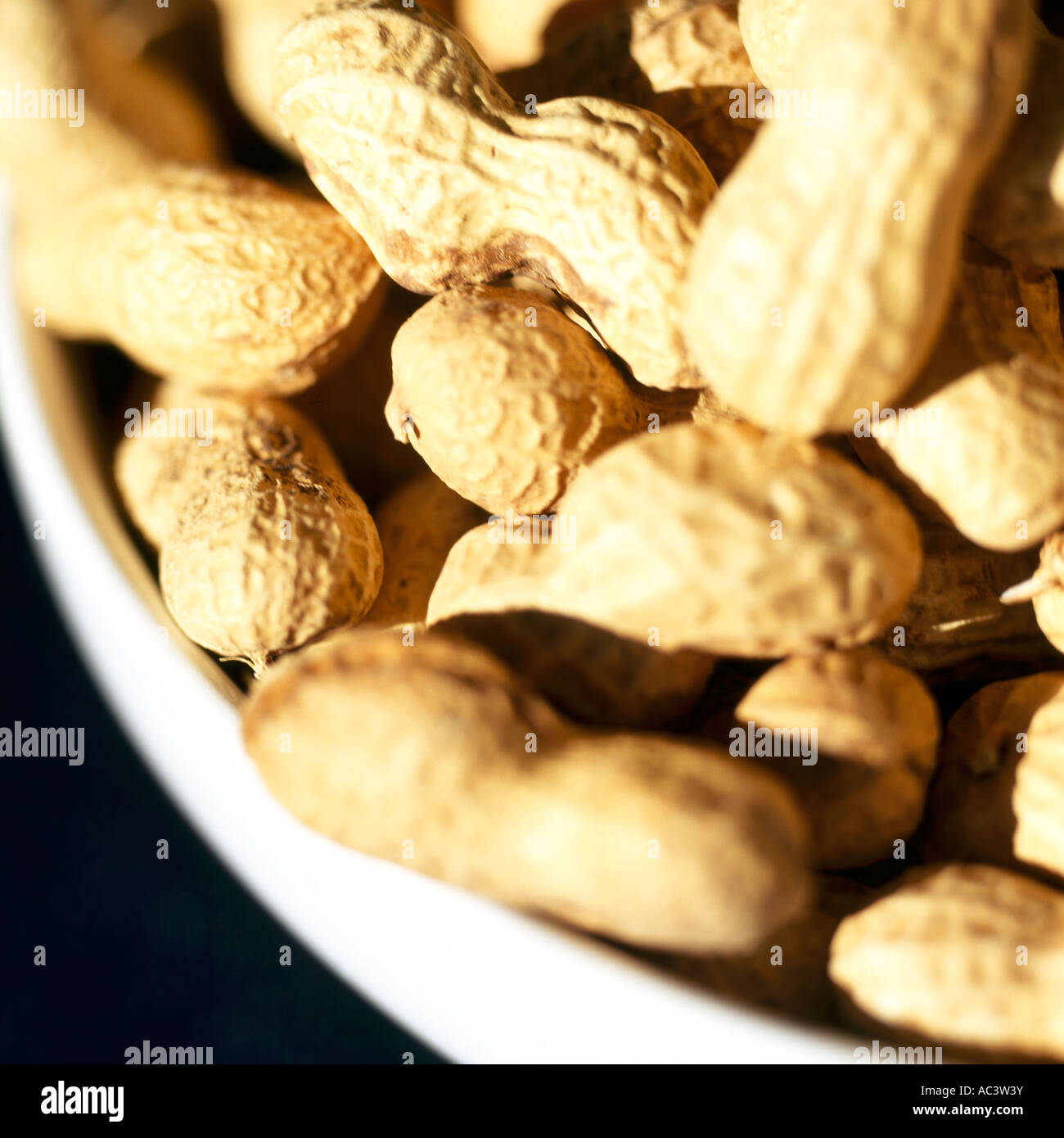 Cracked nut monkey hi-res stock photography and images - Alamy