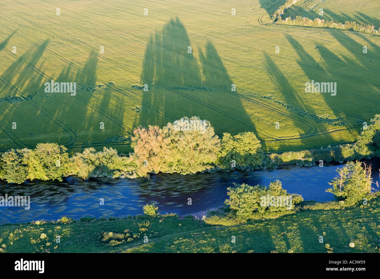 Aerial view of trees and a river at dusk Devon England UK Stock Photo ...