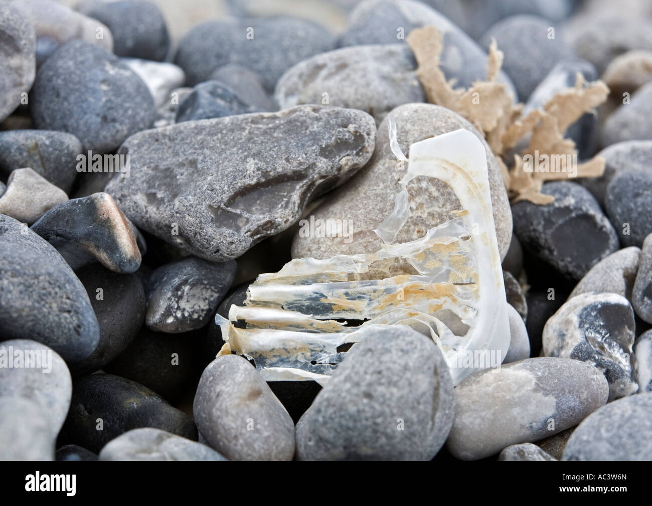 Plastic cup breaking down hi-res stock photography and images - Alamy