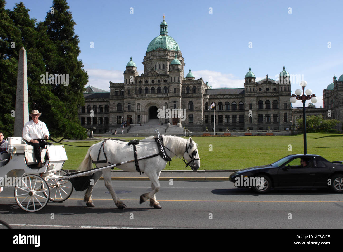 Victorian buggy hi-res stock photography and images - Alamy