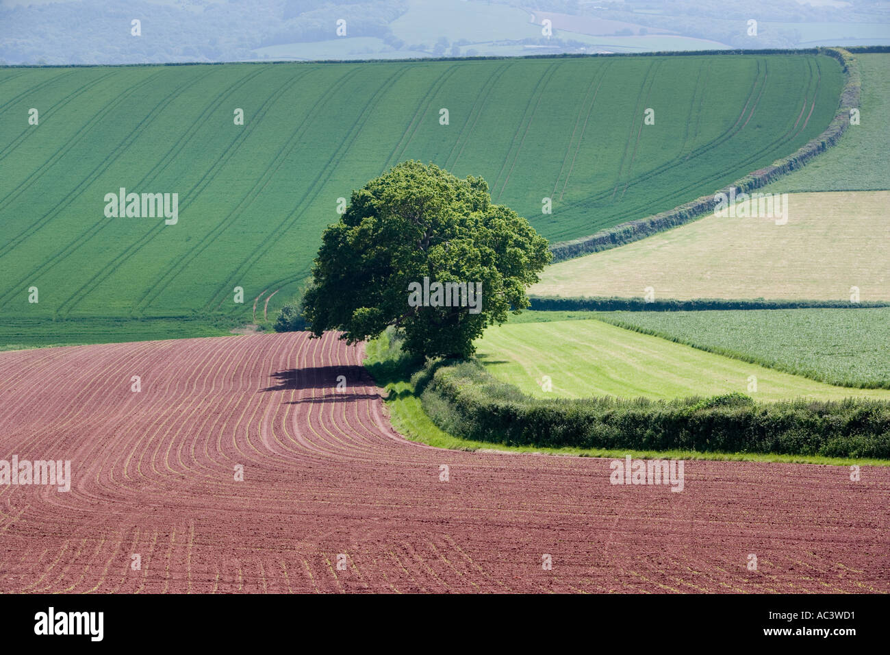 Red soil england hi-res stock photography and images - Alamy