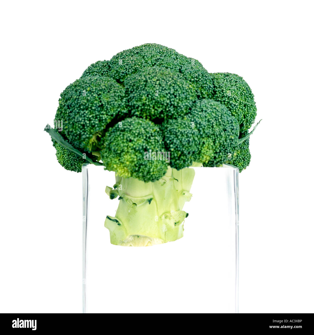 Broccoli vegetable vase hi-res stock photography and images - Alamy