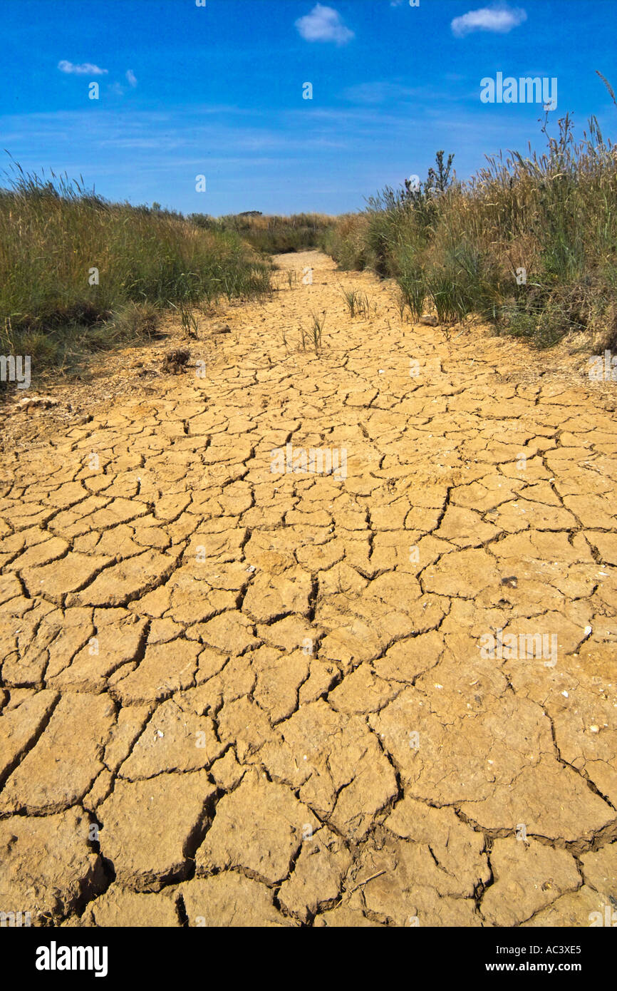 Mud ditch hi-res stock photography and images - Alamy