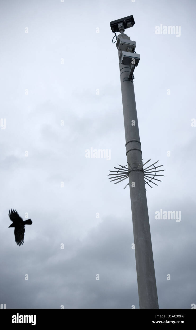 Camera crow hi-res stock photography and images - Alamy