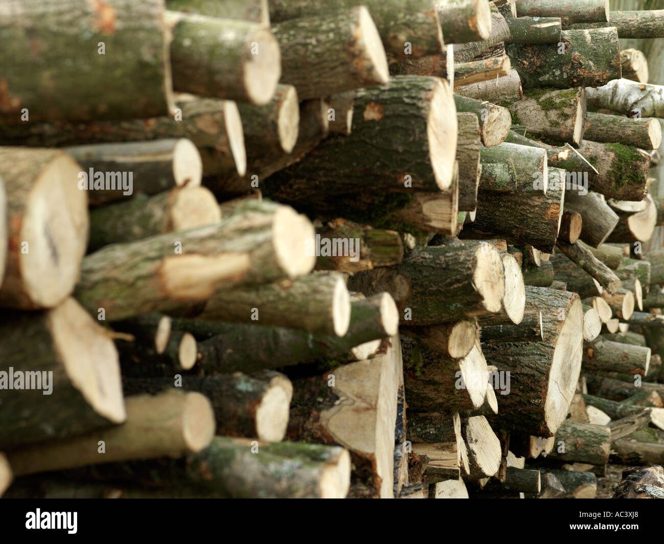 Stack of Logs Stock Photo - Alamy