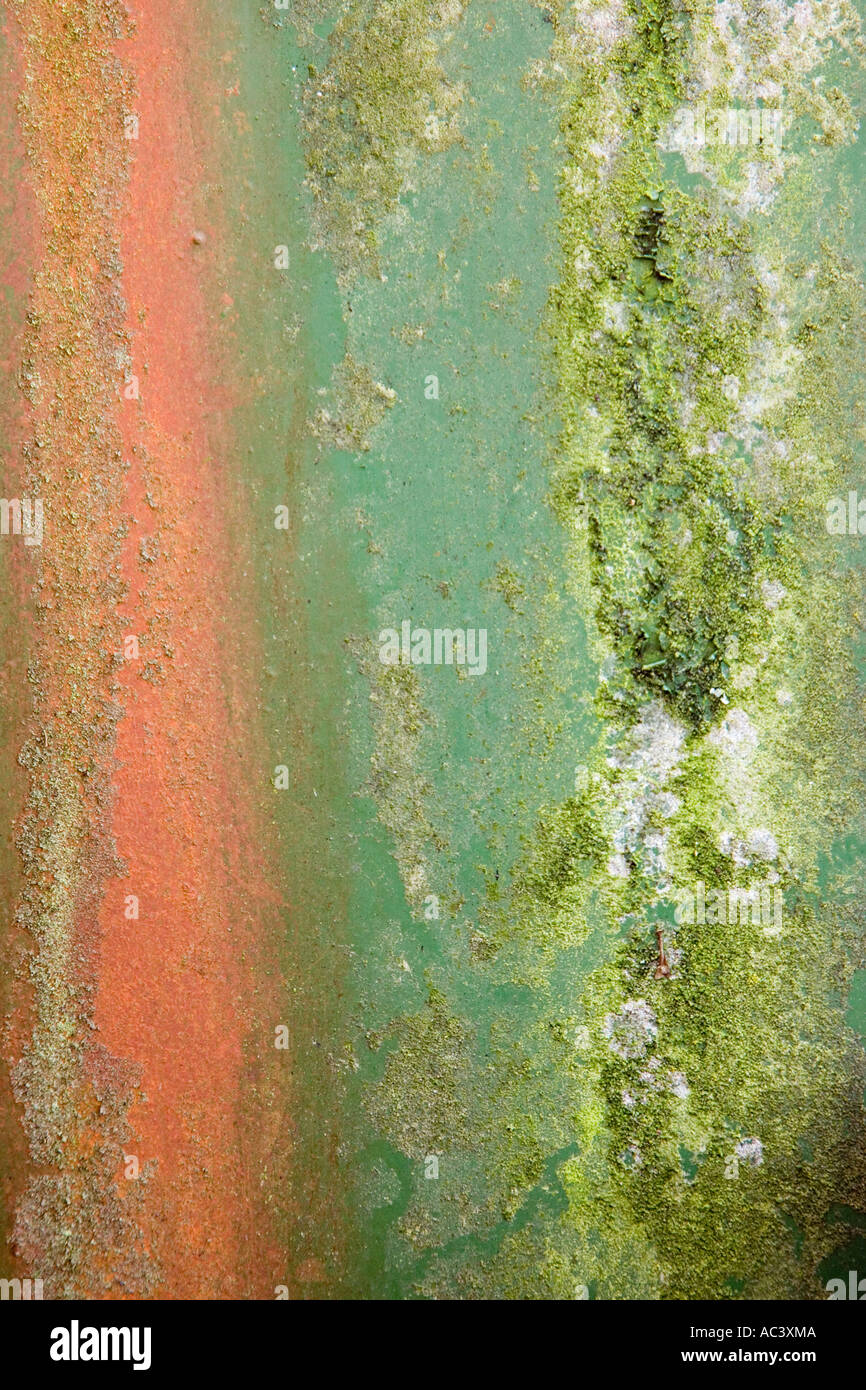 colourful textured pattern of rust and algae on steel sheeting Stock ...