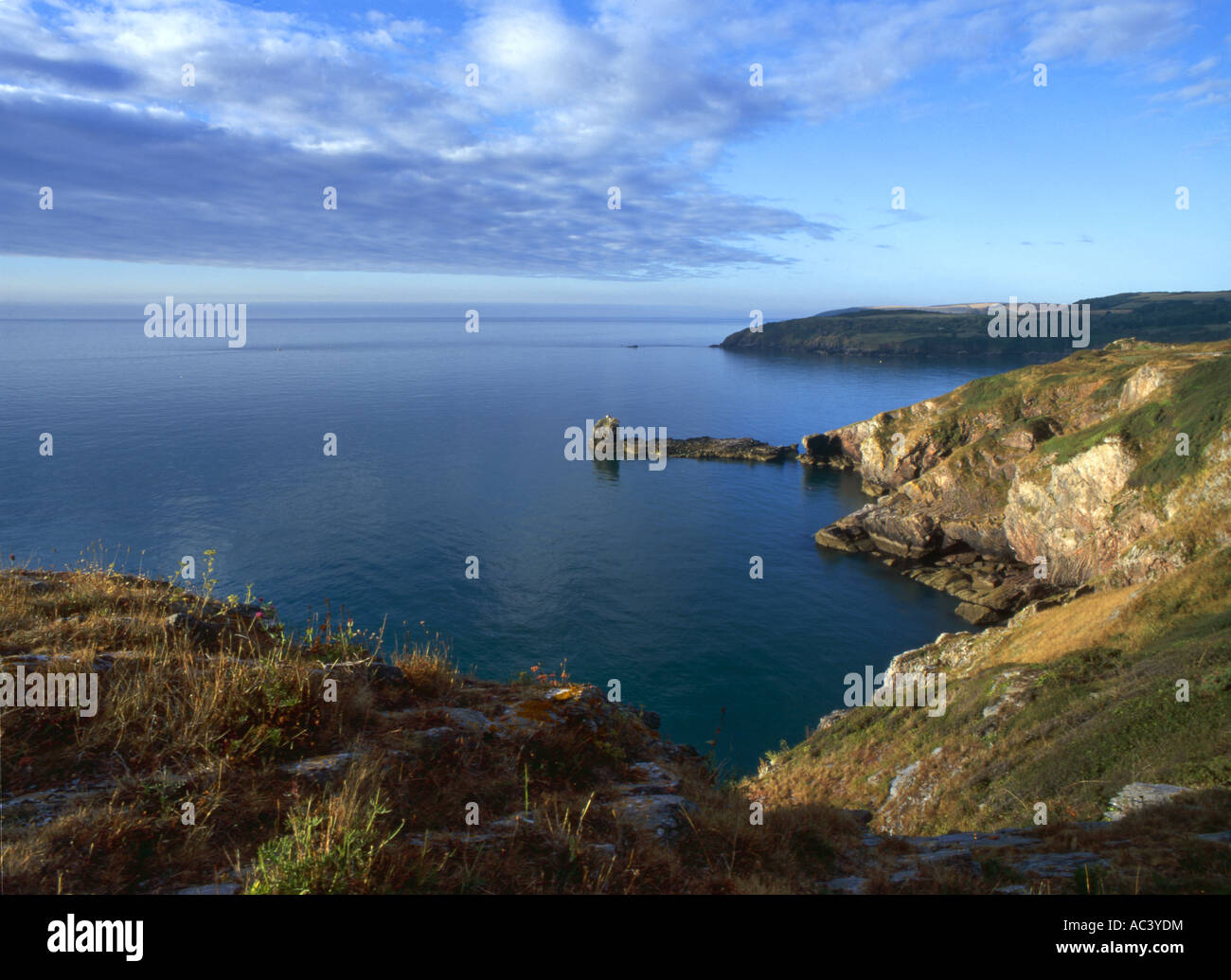 Berry Head National Nature Reserve near Torquay south devon England ...