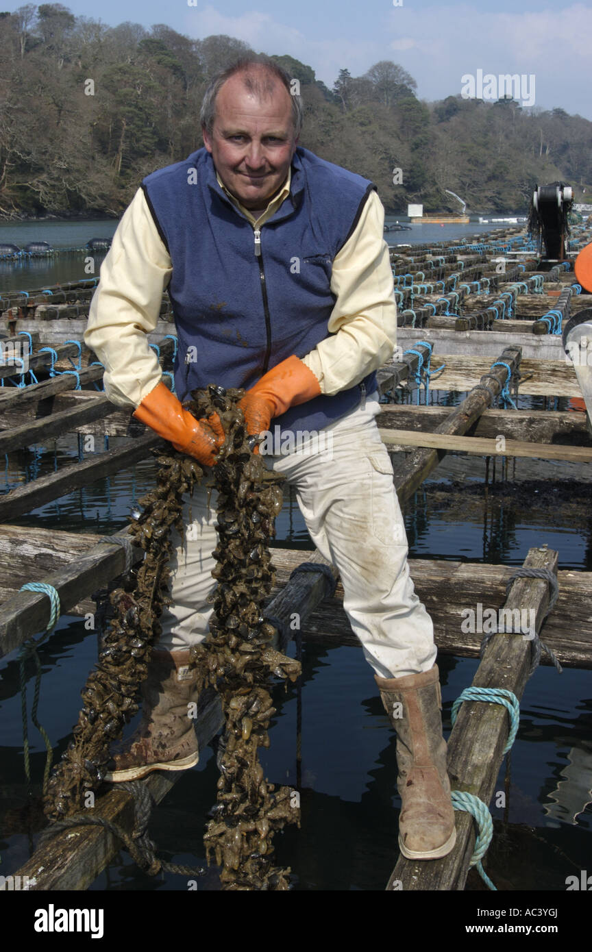Mussel farm hi-res stock photography and images - Alamy