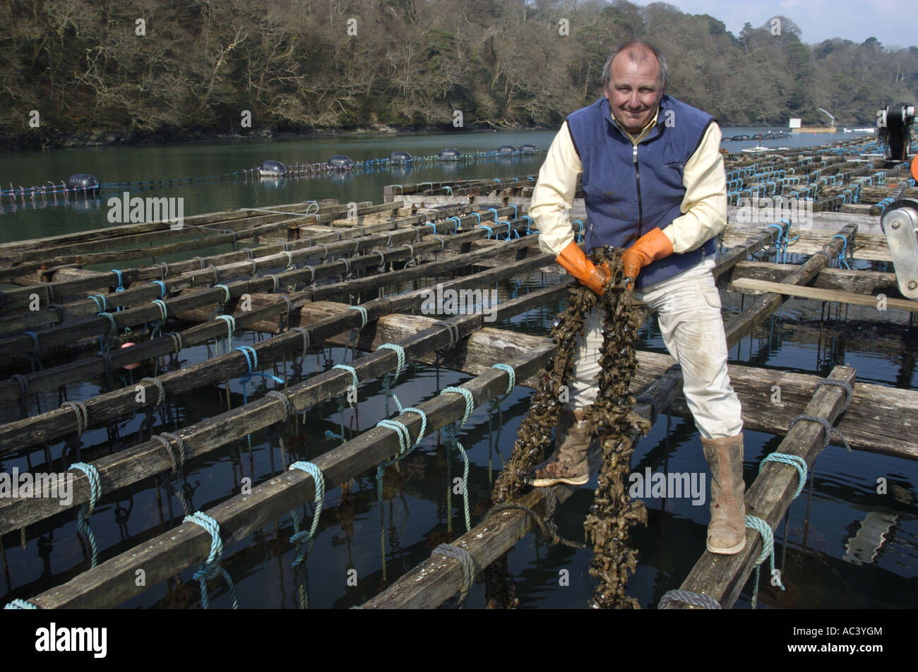 Jim Griffin holds a string of mussels growing on the biggest mussel ...