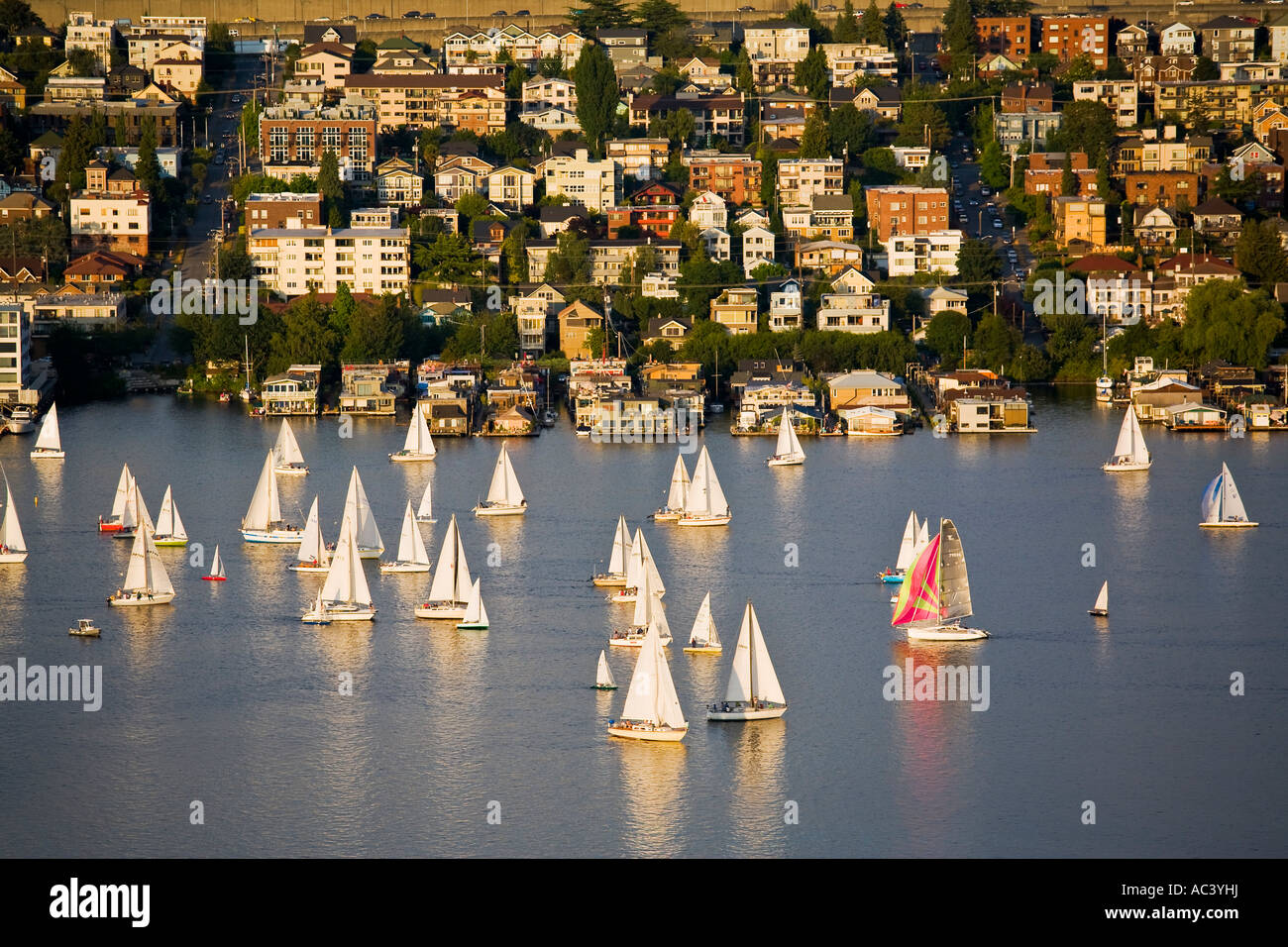 Duck Dodge sailing race on Lake Union Seattle Washington Stock Photo ...