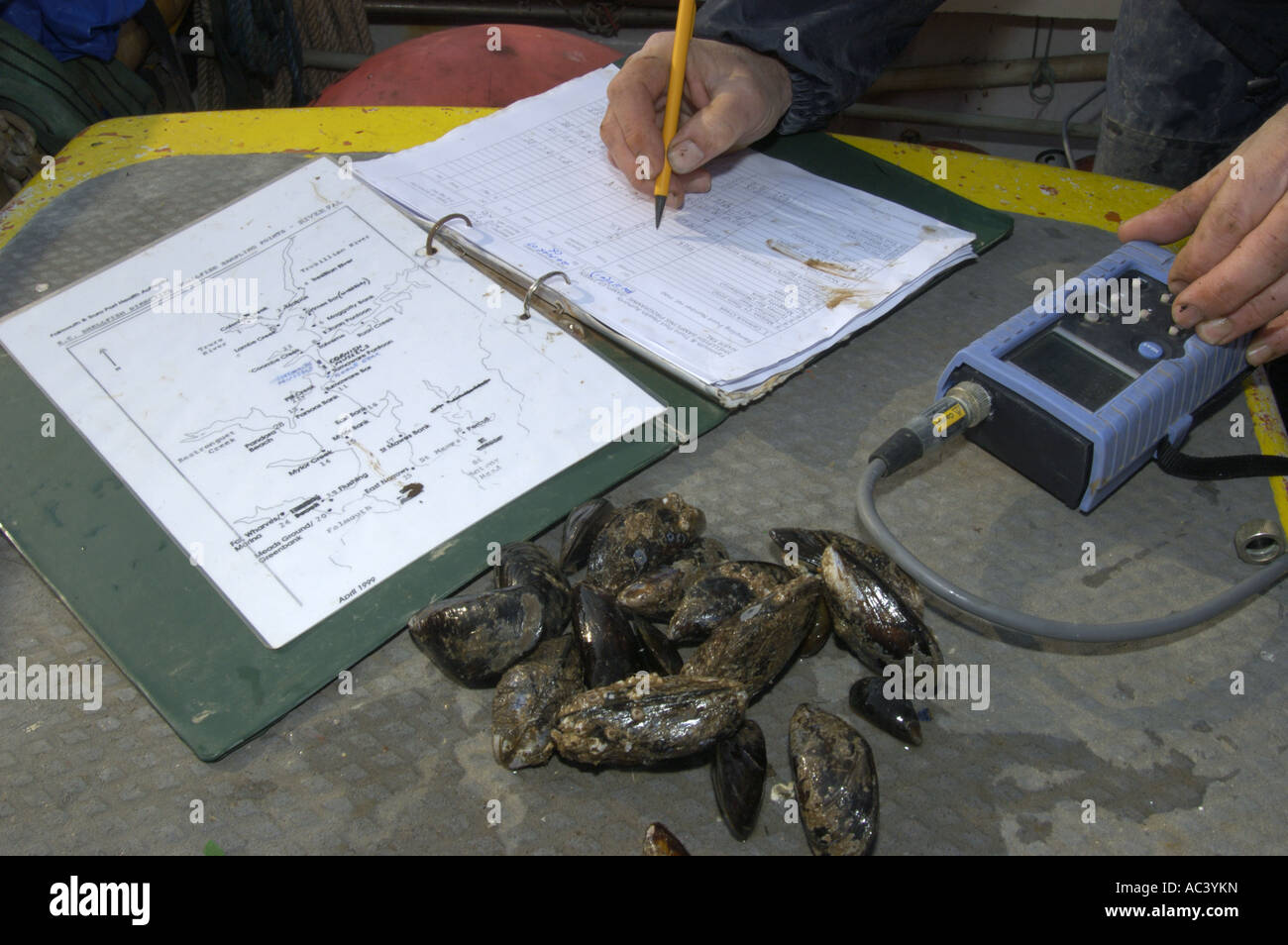 Garry Cooper Port Health Officer at Falmouth Docks collects mussel ...