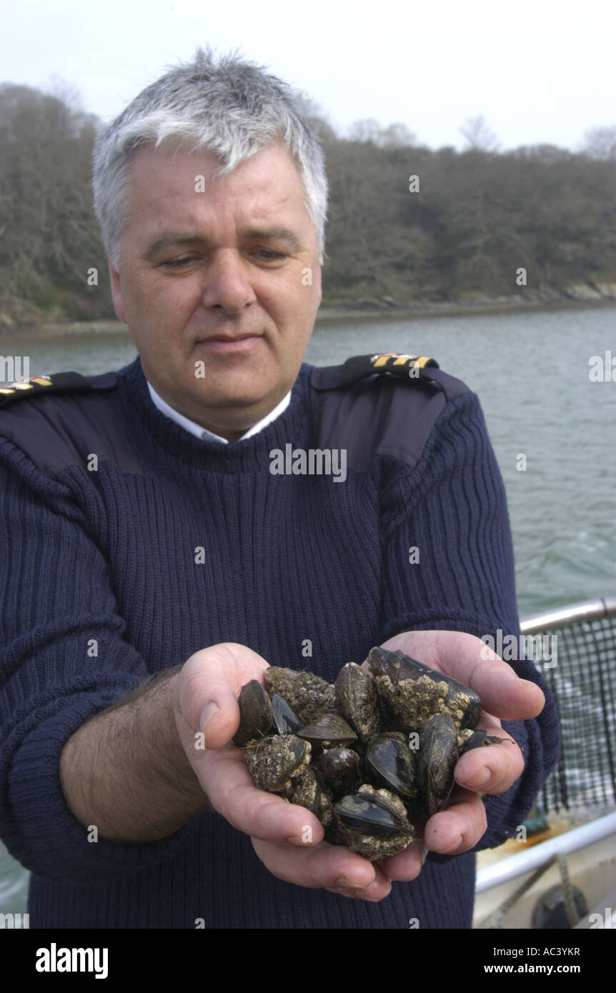 Garry Cooper Port Health Officer at Falmouth Docks collects mussel ...