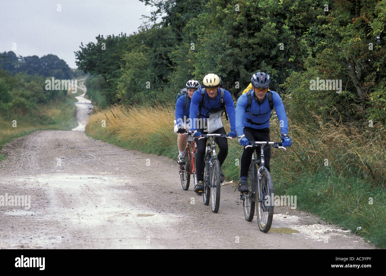 Cyclists on the ridgeway long distance path near wantage England Stock ...