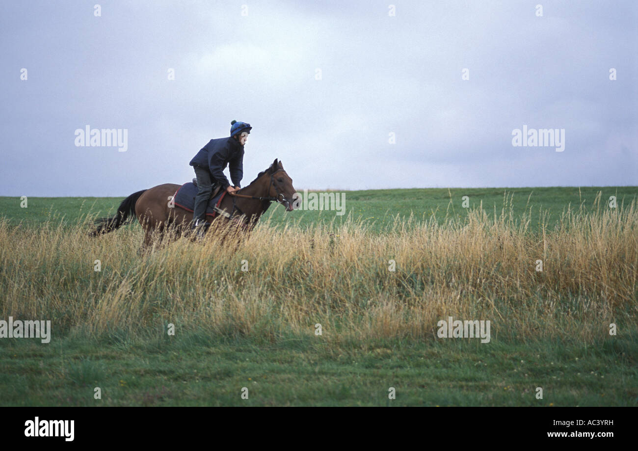 Exercising race horses on gallops next to the Ridgeway long distance ...