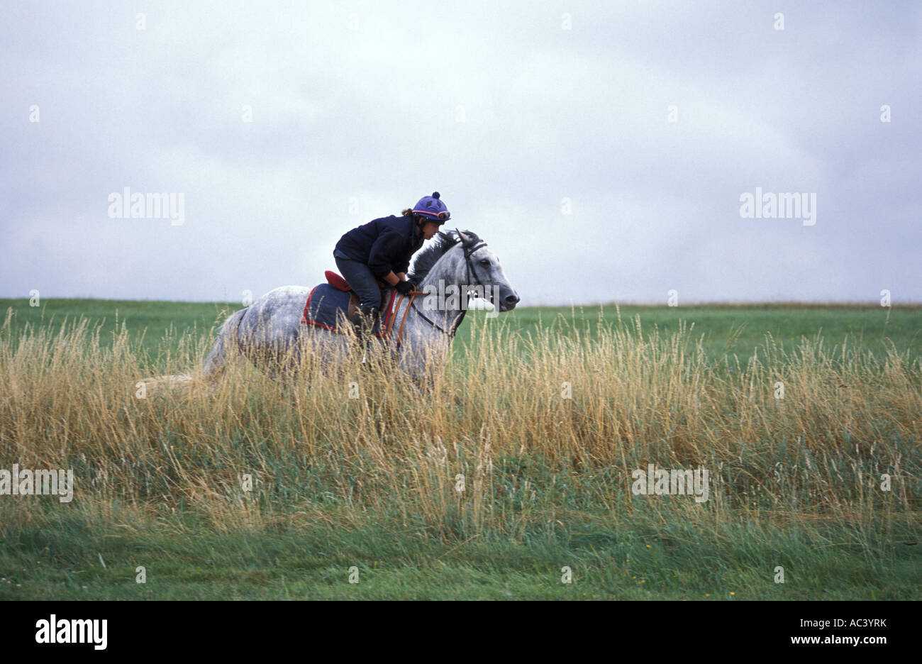 Exercising race horses on gallops next to the Ridgeway long distance ...