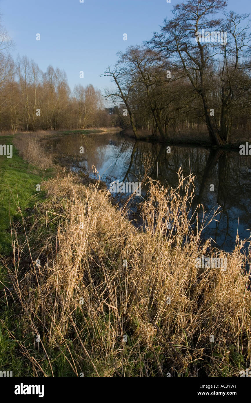 The river Wey in Surrey Stock Photo - Alamy