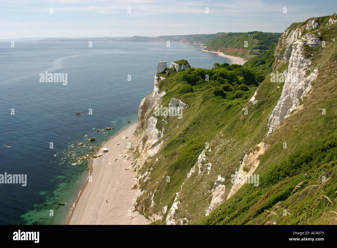 Beer Head Devon England UK Stock Photo - Alamy