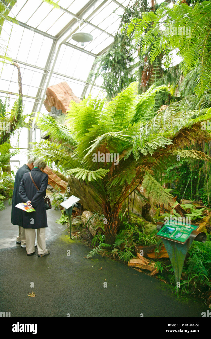 Royal Botanic Gardens Kew Richmond London Temperate house Stock Photo ...