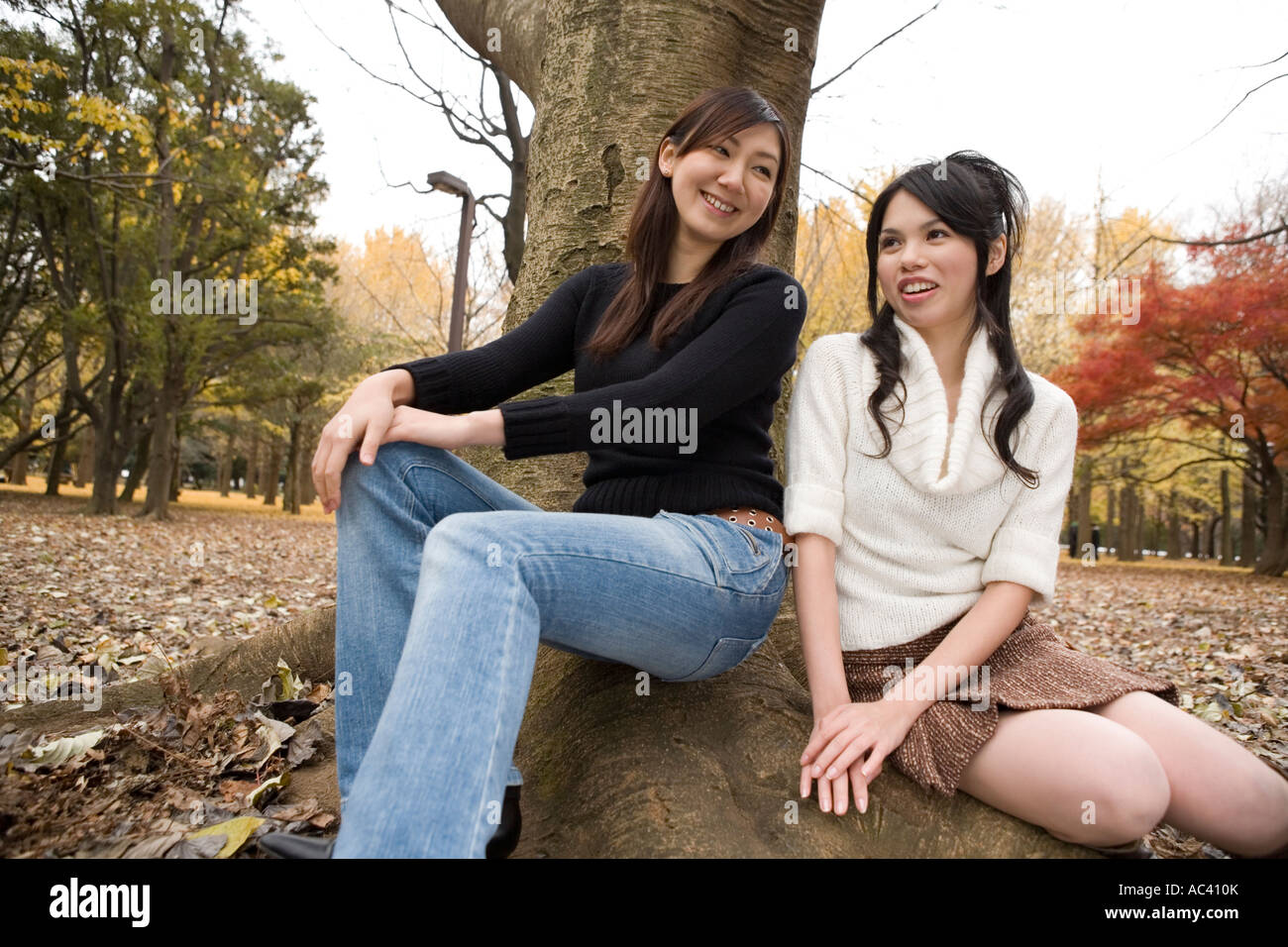 Two young women sitting on exposed roots of tree Stock Photo - Alamy