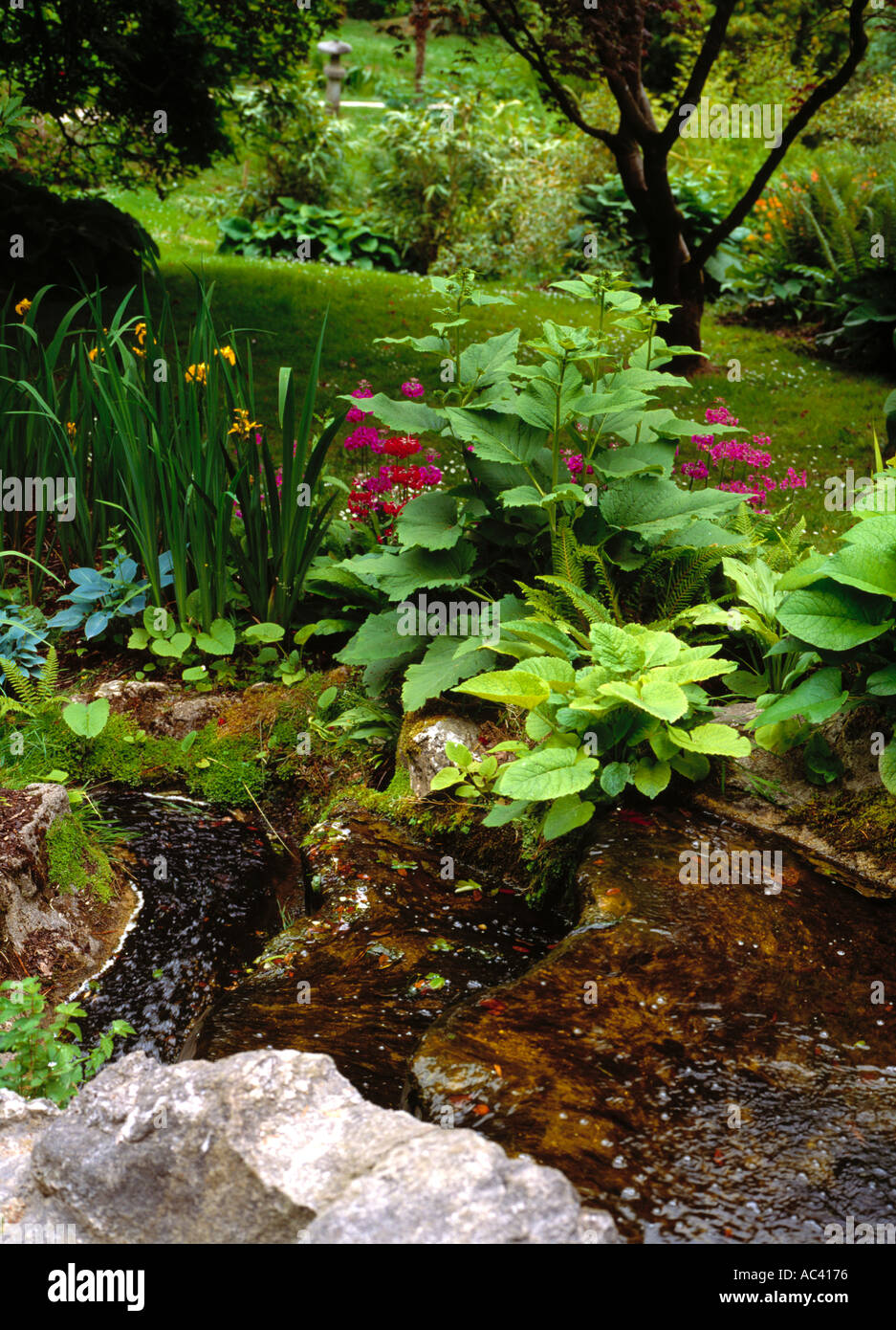 Rill hi-res stock photography and images - Alamy