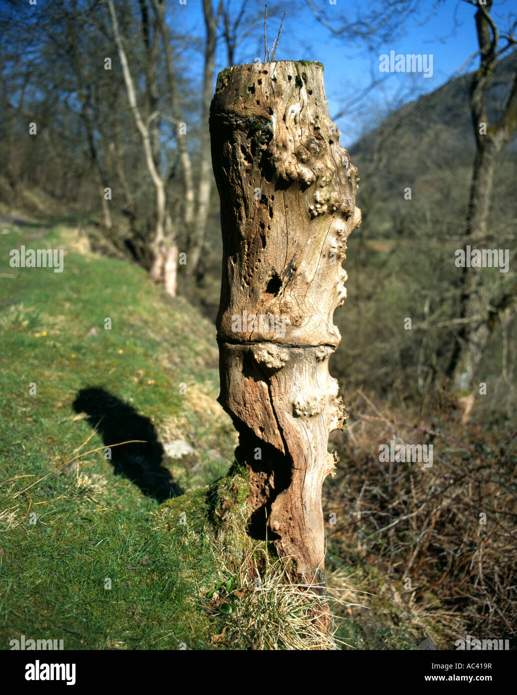 Taff trail merthyr hi-res stock photography and images - Alamy