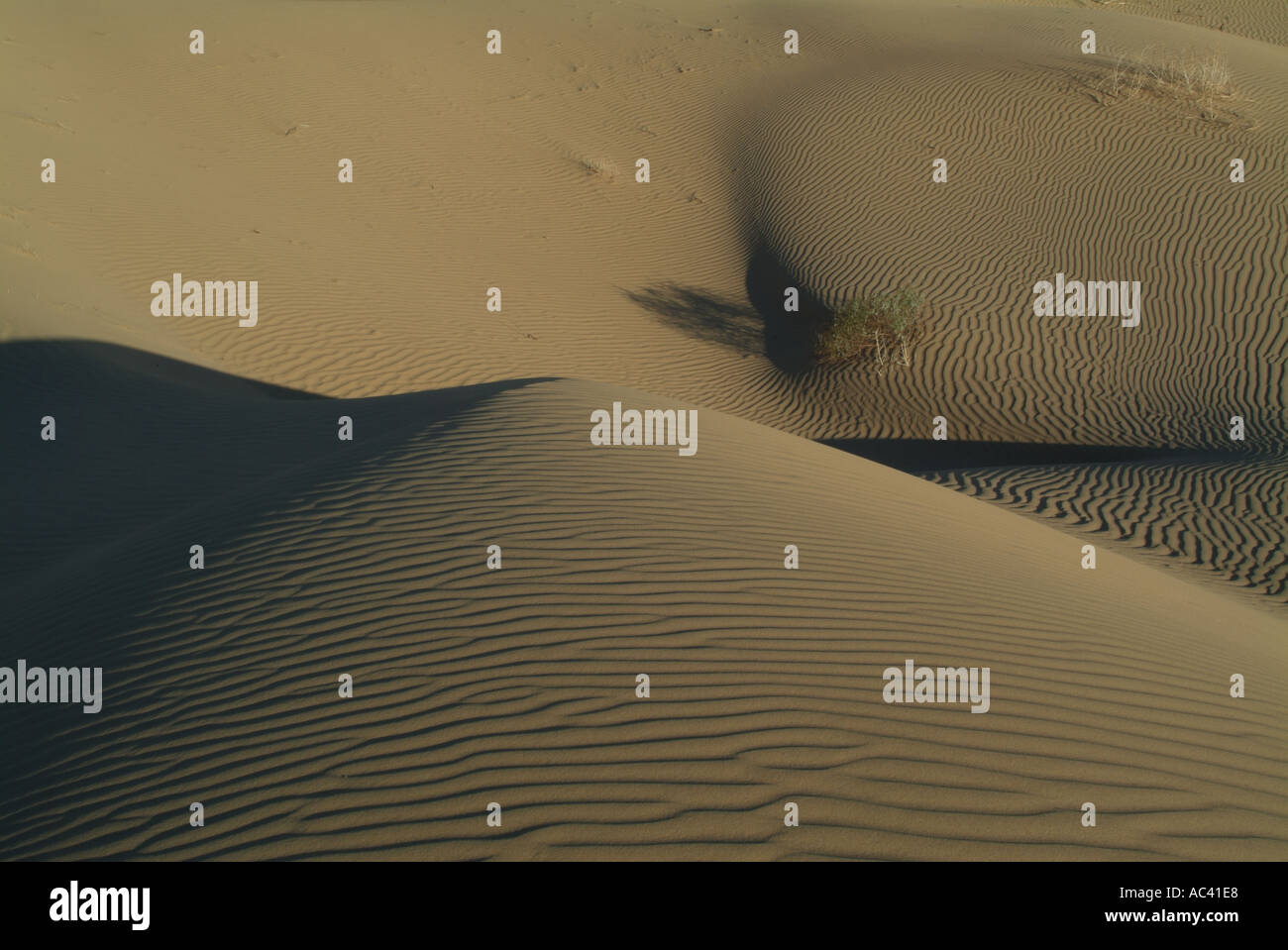 Shadow and Sand Dunes Stock Photo - Alamy