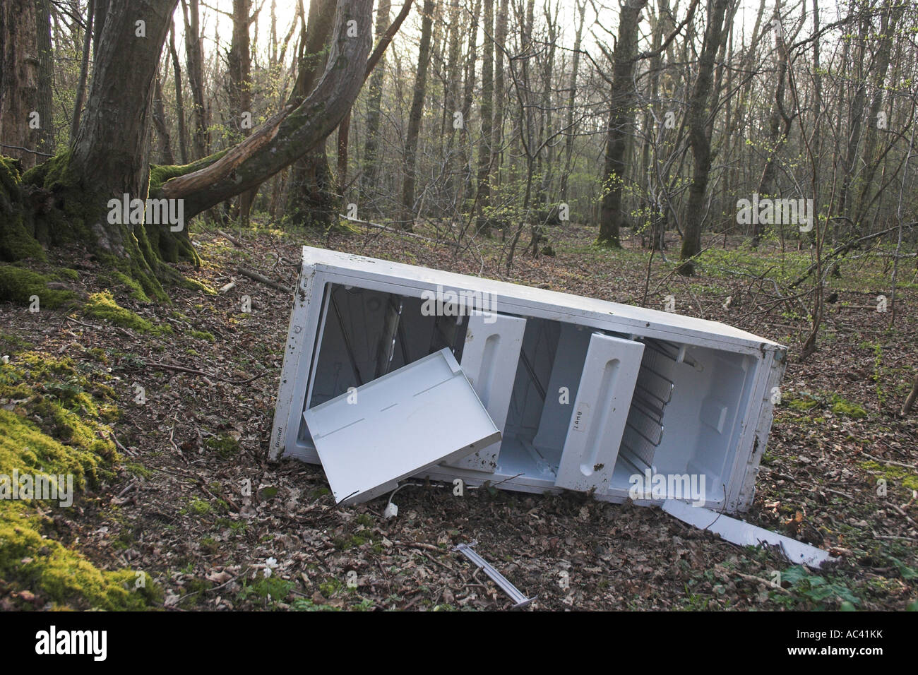 Freezer fly tipped in a wood Stock Photo - Alamy