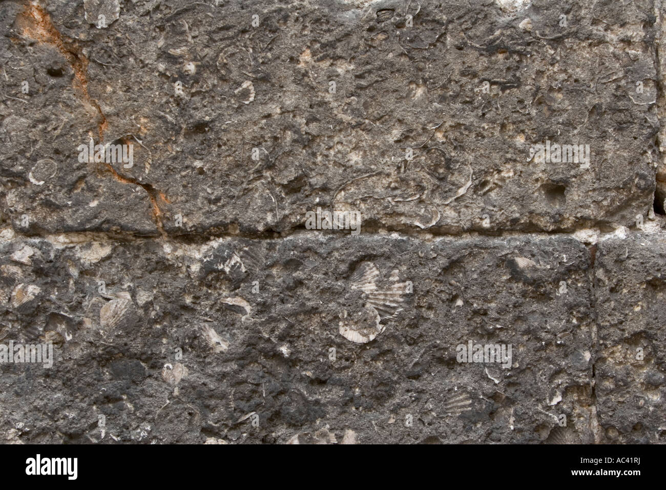 Stone buildings fossils High Resolution Stock Photography and Images ...
