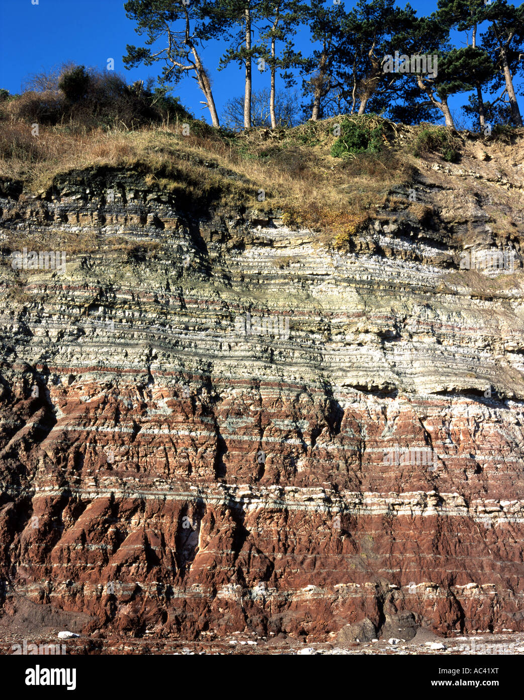 limestone and shale cliffs from the late Triassic to early Jurassic ...