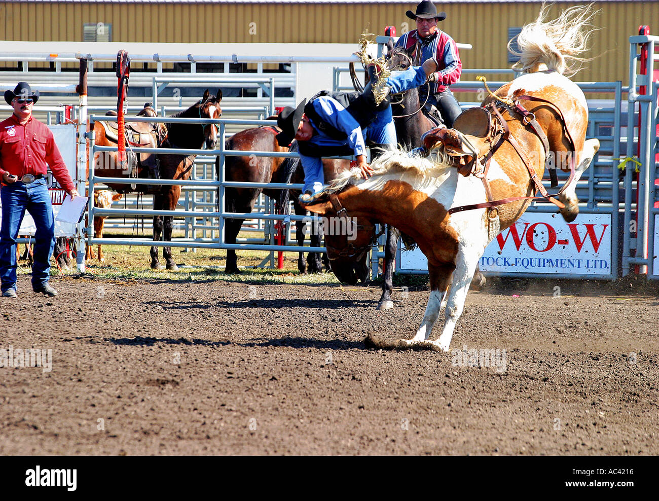 Saddle Bronco Rider Canada Stock Photo - Alamy