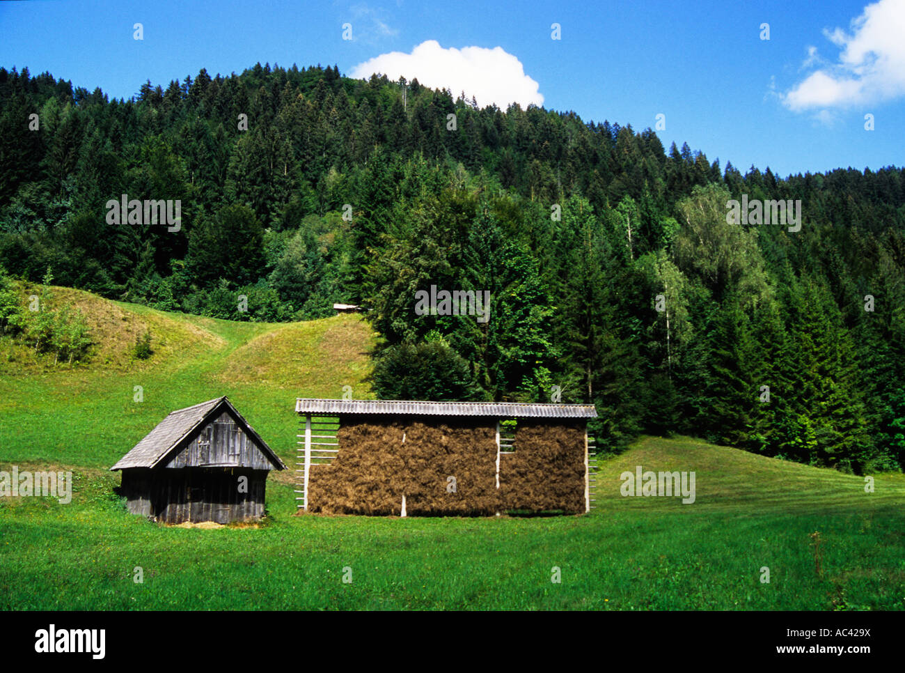 Slovenia - a traditional barn in the country Stock Photo - Alamy