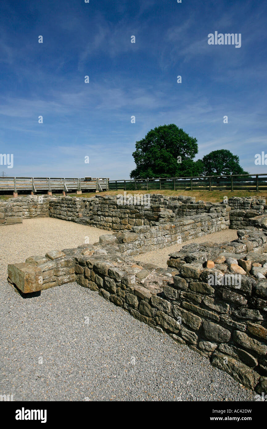 Binchester Roman Fort County Durham England UK Stock Photo - Alamy