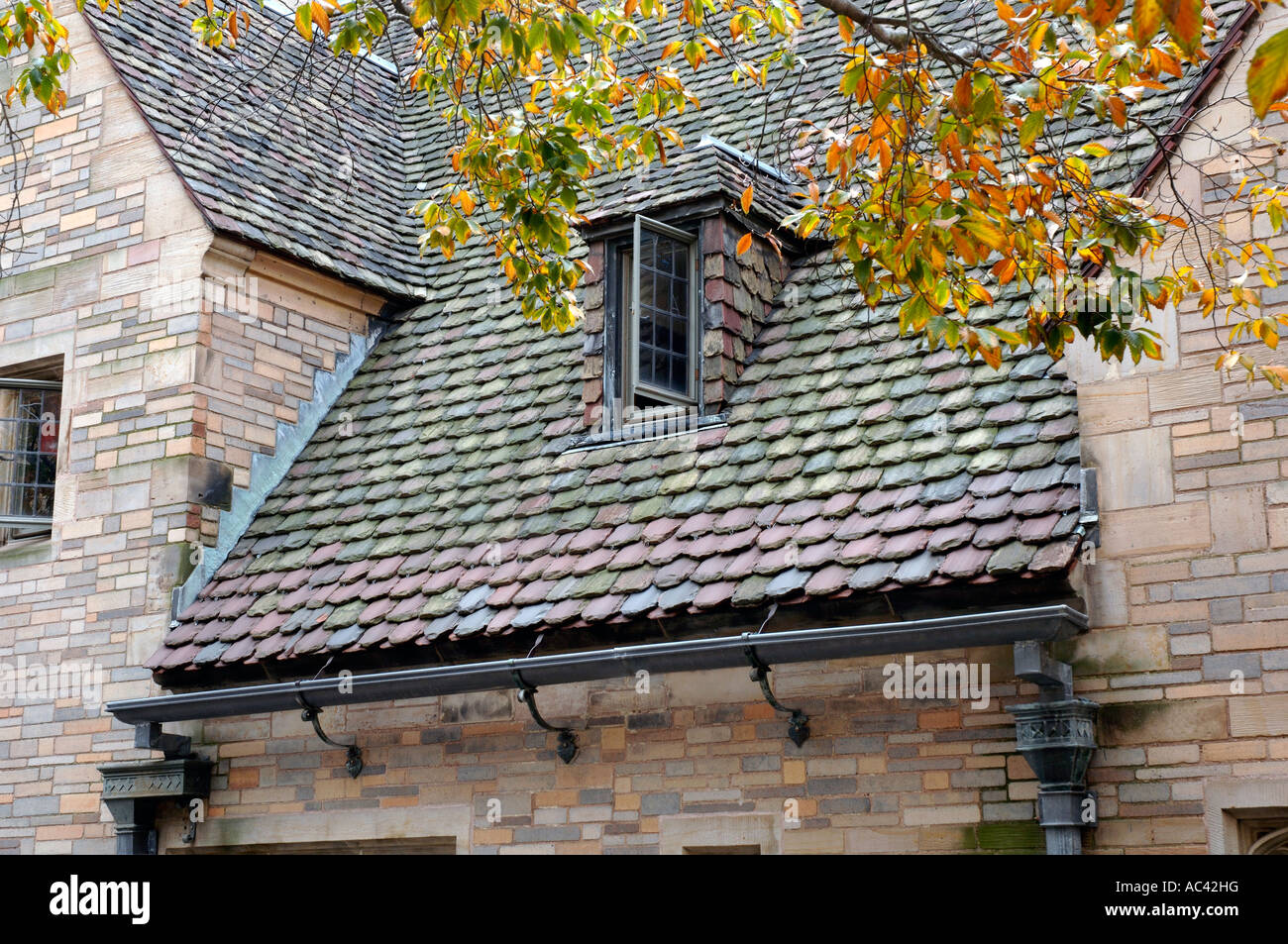Yale window gothic architecture hi-res stock photography and images - Alamy