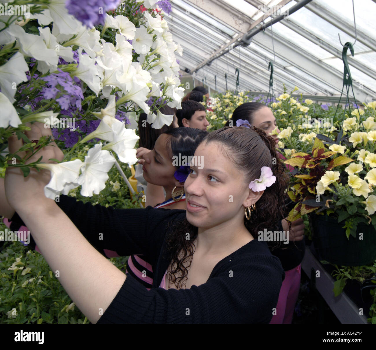 Pardee hi-res stock photography and images - Alamy