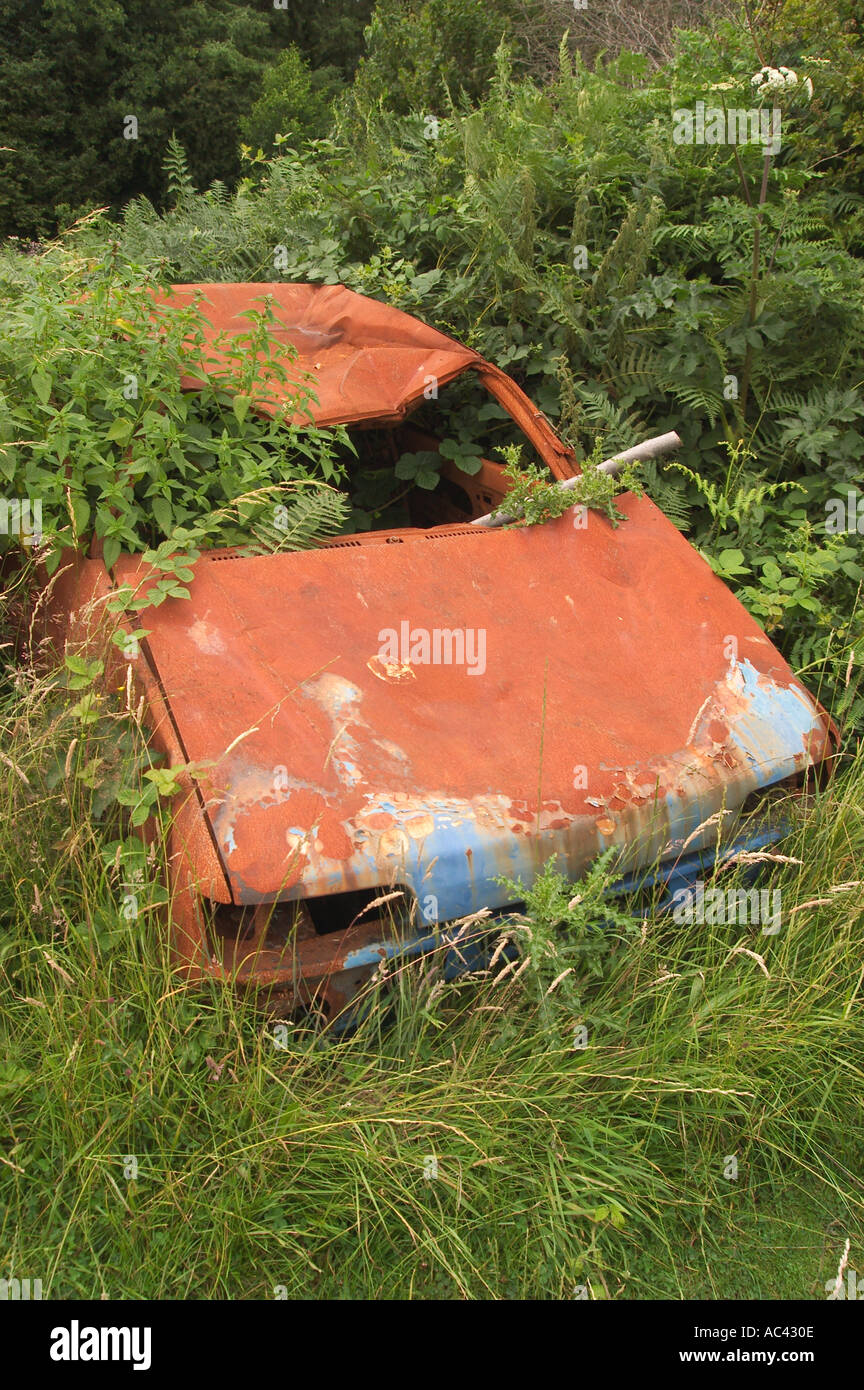 An abandoned car rusts away in a hedge Stock Photo - Alamy