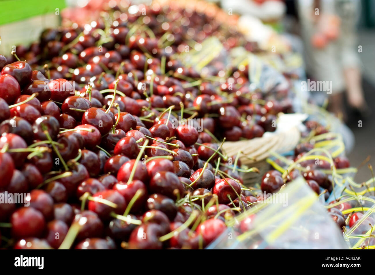 Cherries at market Stock Photo - Alamy