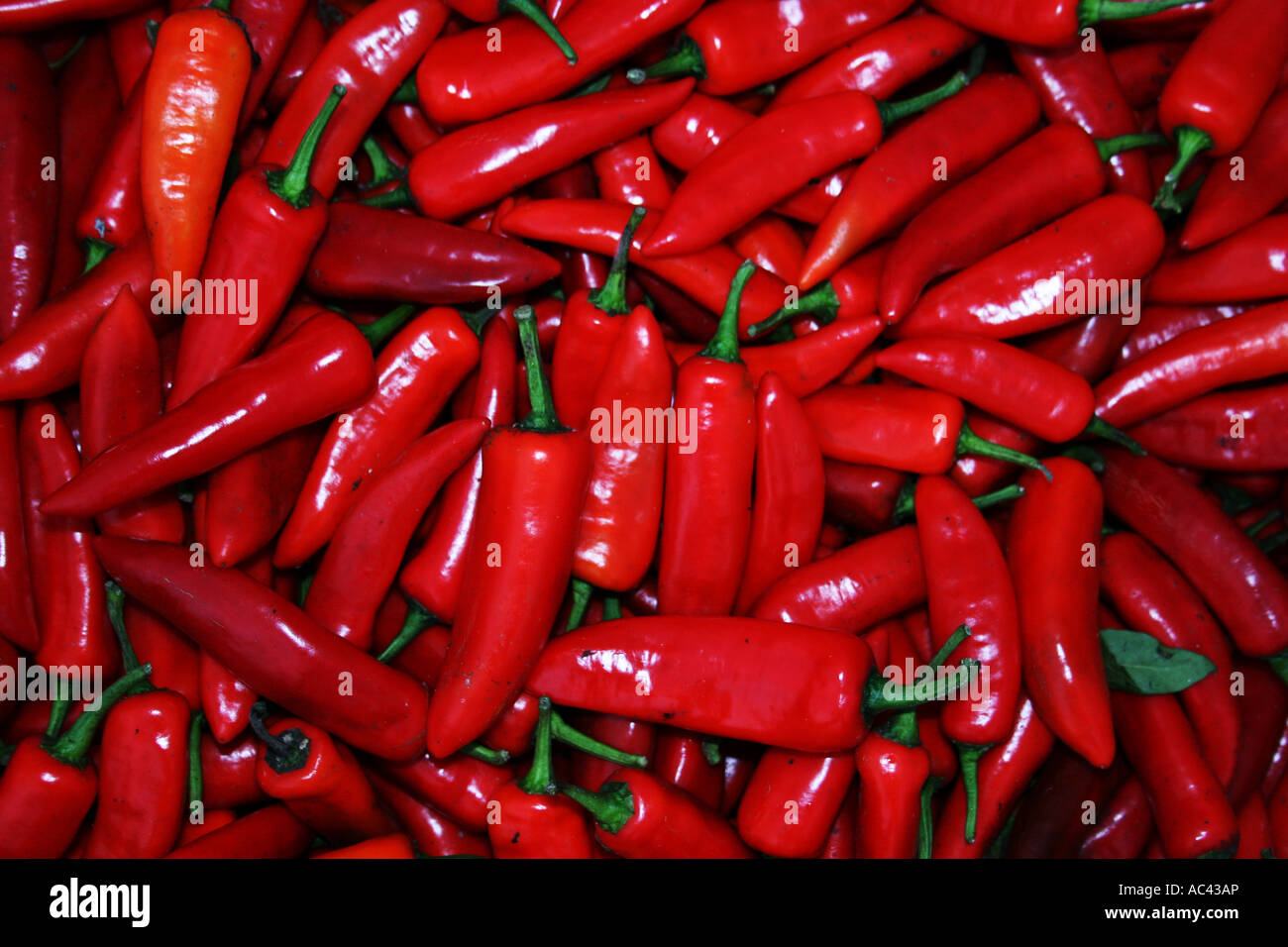 Rare chilli variety hi-res stock photography and images - Alamy