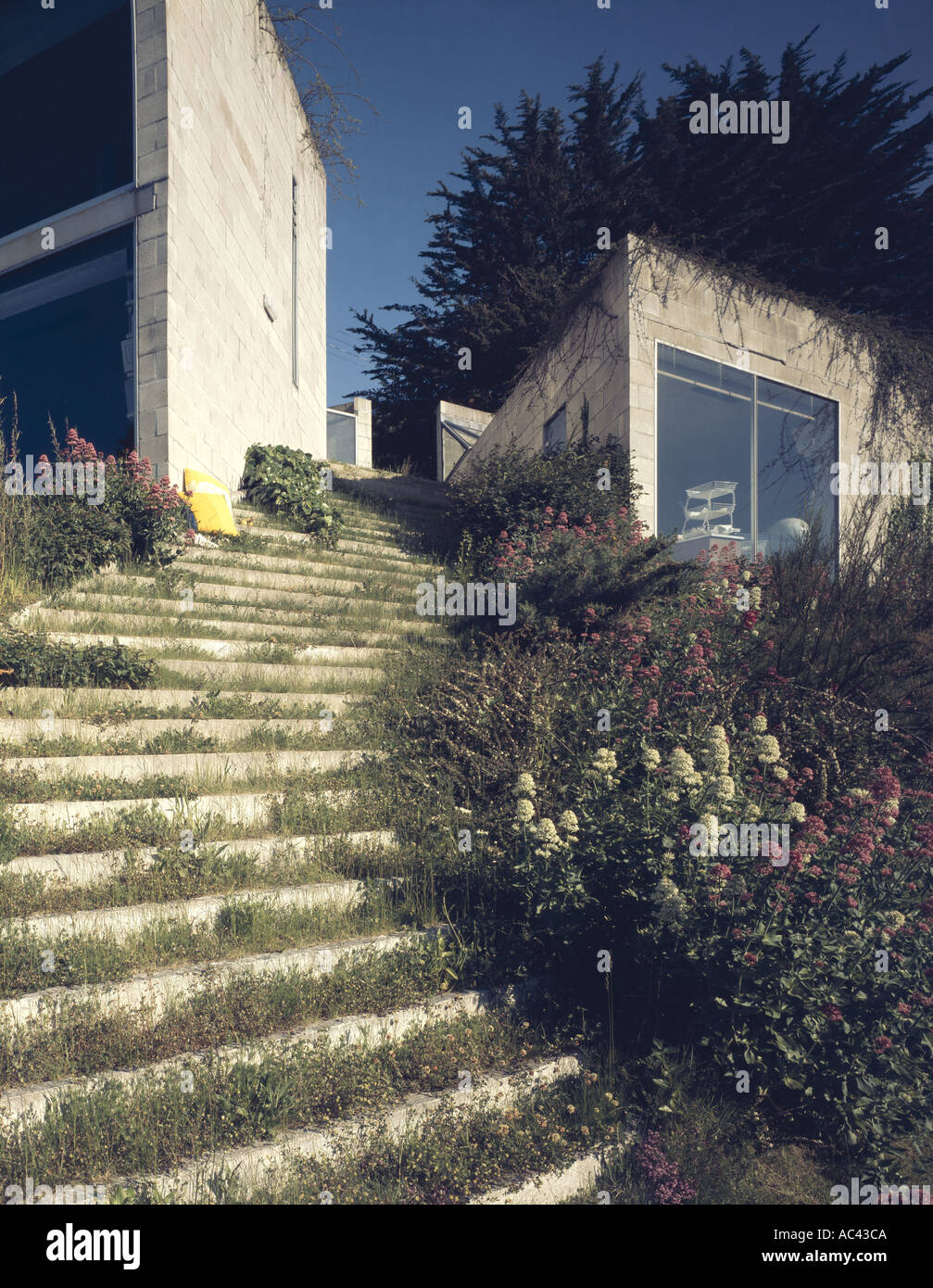 House at Creek Vean, Pill Creek , Cornwall (1964-6) The Planted steps ...